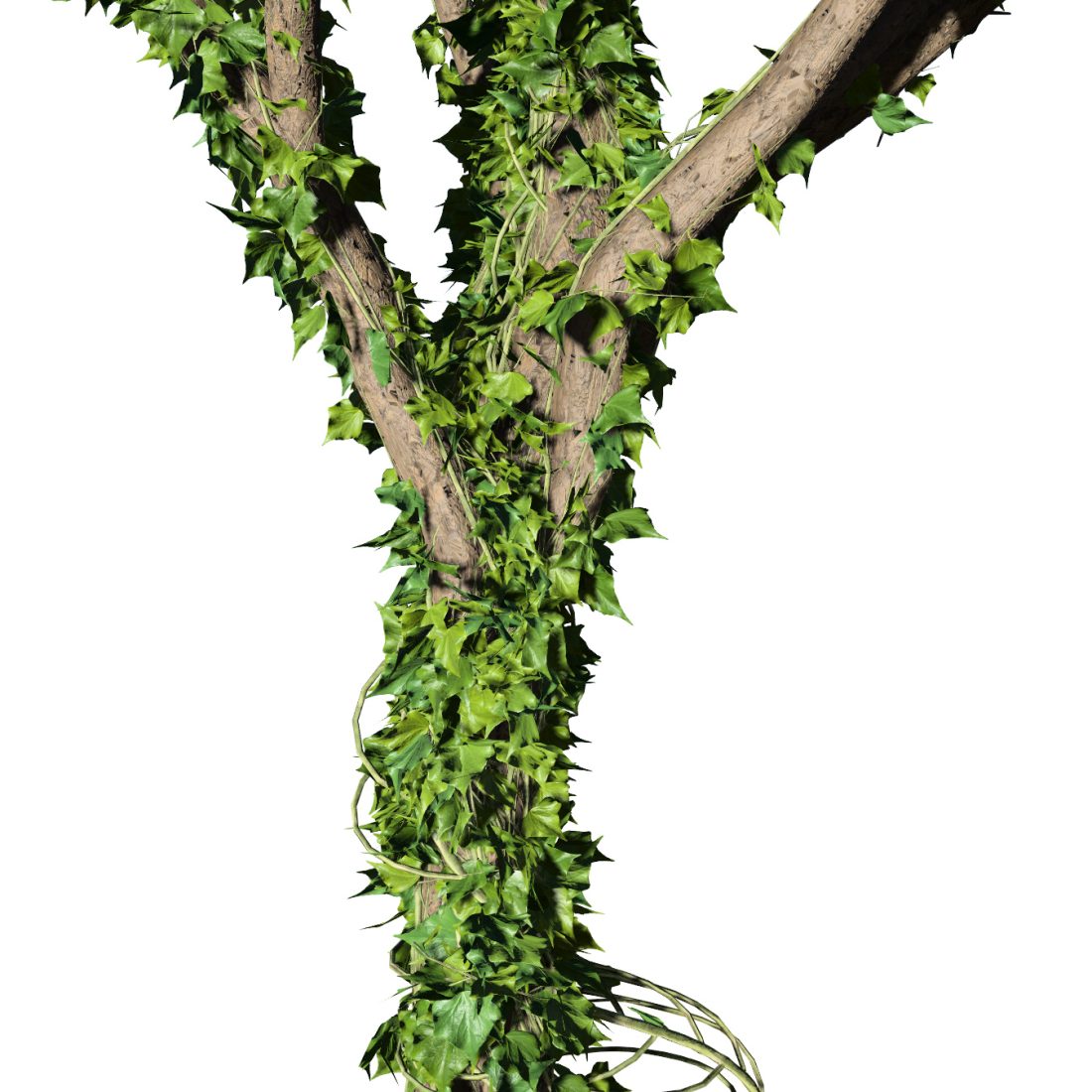 Ivy Climber On Winter Trees - 3D Model for VRay, Corona