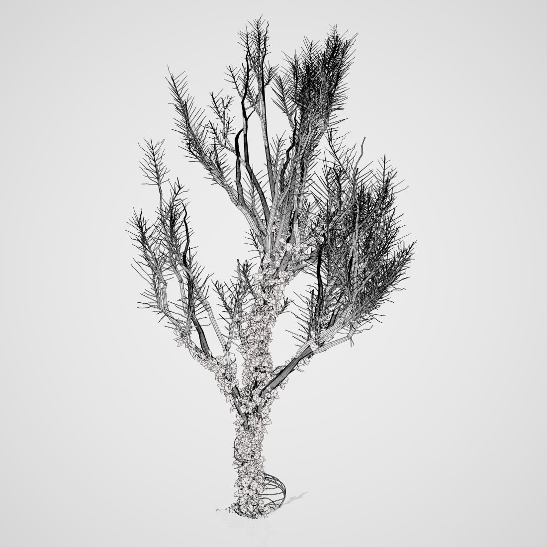 Ivy Climber On Winter Trees - 3D Model for VRay, Corona