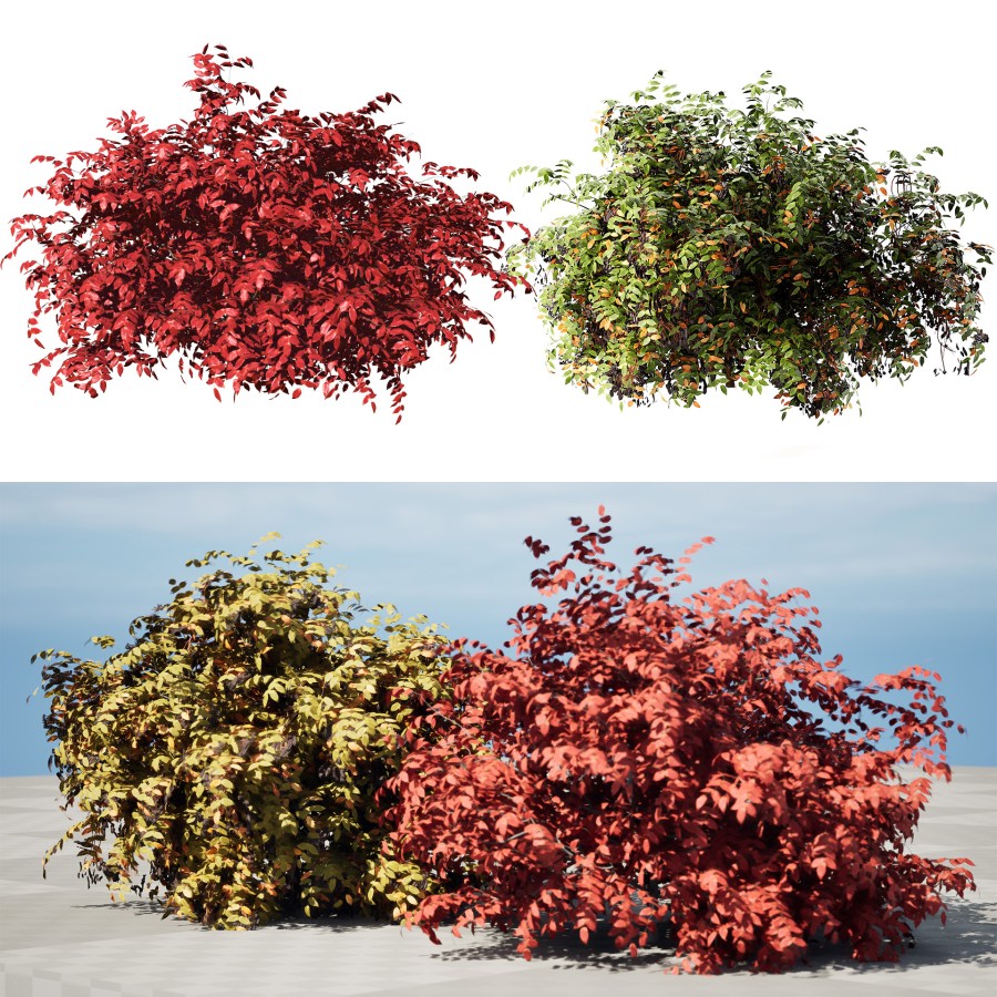 Summer And Fall Shrubbery Bush 3D Model for VRay, Corona | CGMood