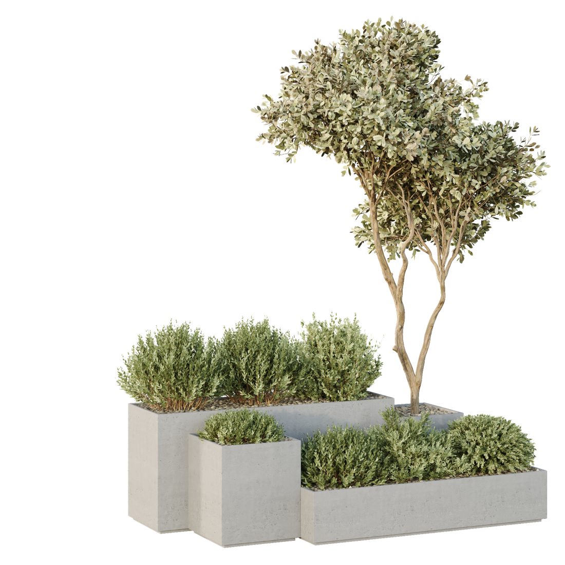 Tree And Bush Garden Box Outdoor Vol 26 3D Model for VRay, Corona | CGMood