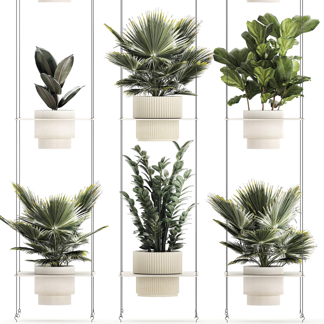 Shelf Hanging Pot Zamioculcas Ficus Fan Palm - 3D Model for VRay
