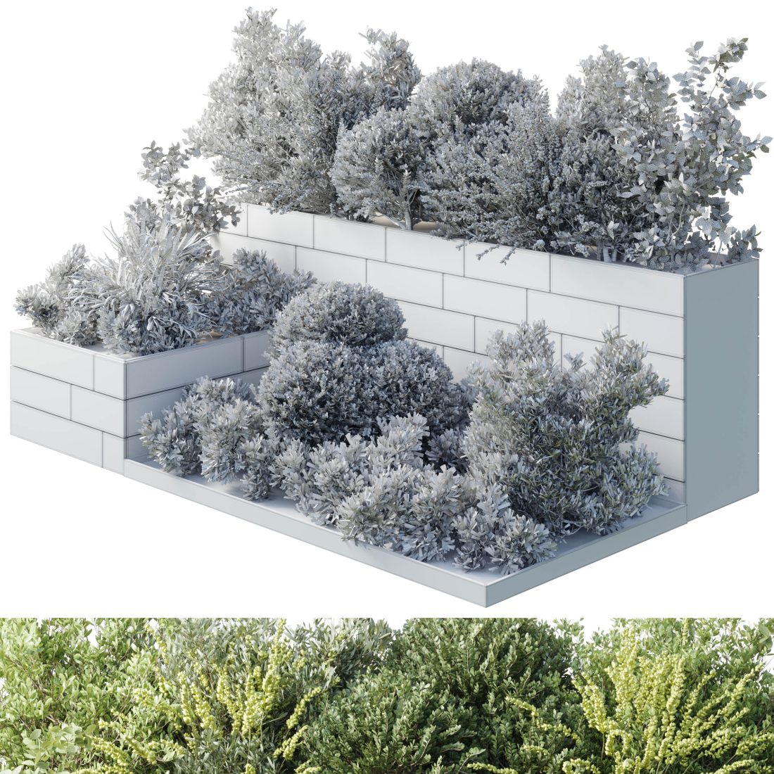 Garden Plants Box - Outdoor Plants 211 - 3D Model for VRay, Corona