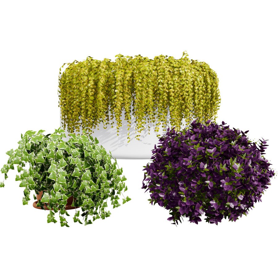 Golden Trio Plants 3D Model for VRay, Corona | CGMood