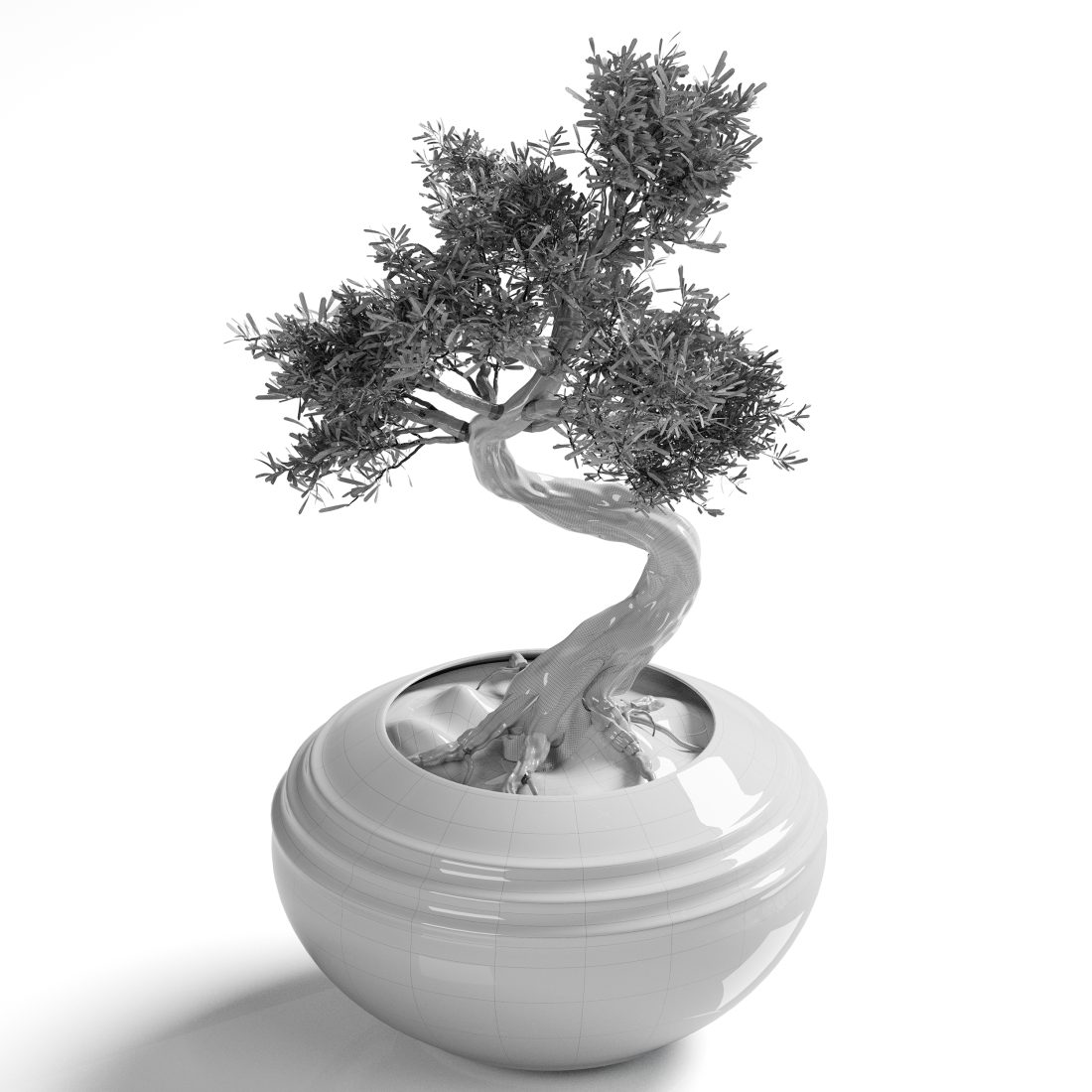 Bonsai Tree Indoor Plant 01 3D Model for Corona | CGMood