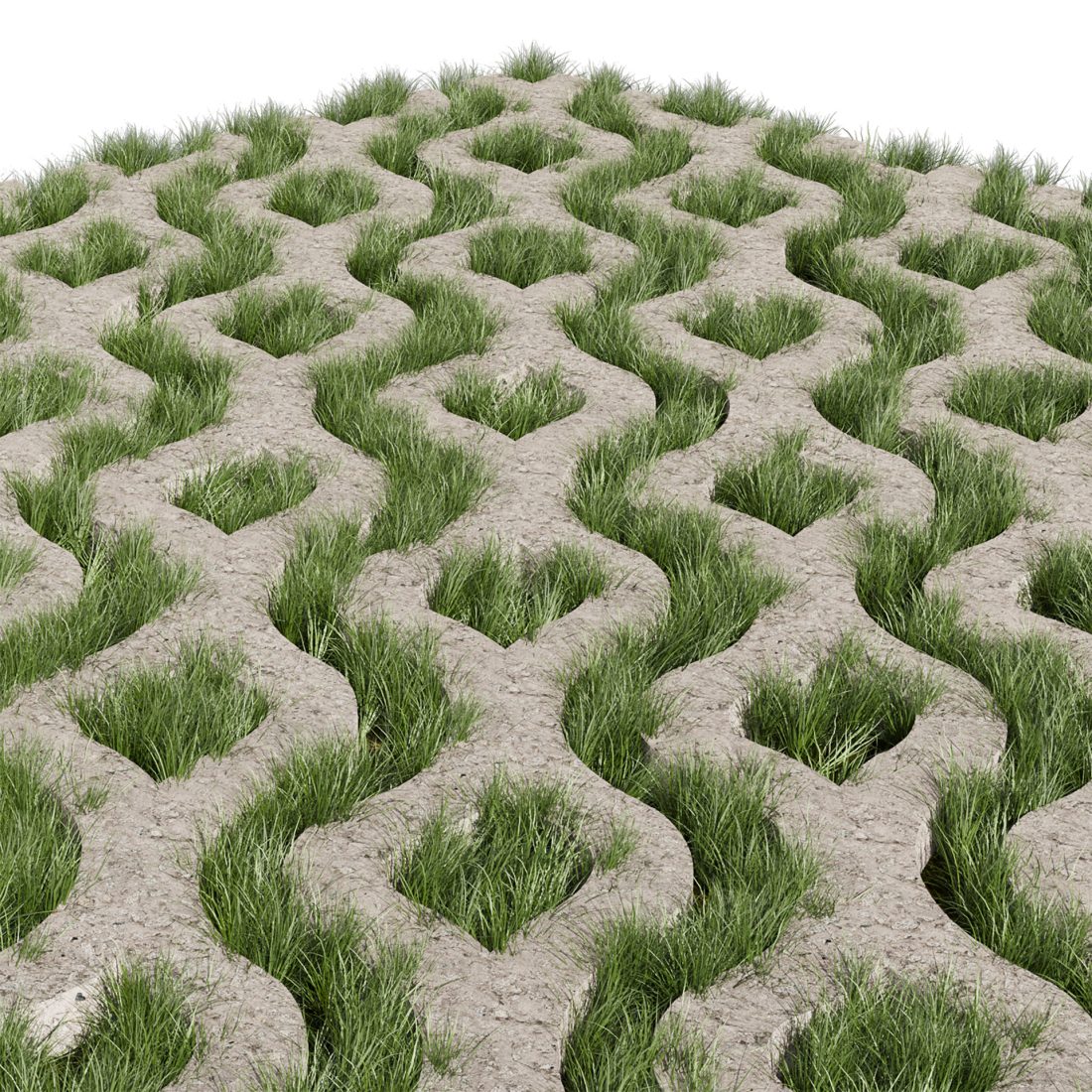 Collection Plant Vol 602 - Grass - Ground -scatter - 3D Model for VRay