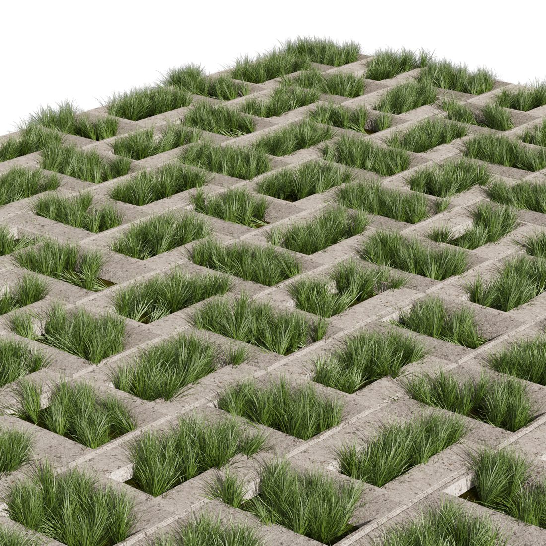 Collection Plant Vol 602 - Grass - Ground -scatter - 3D Model for VRay