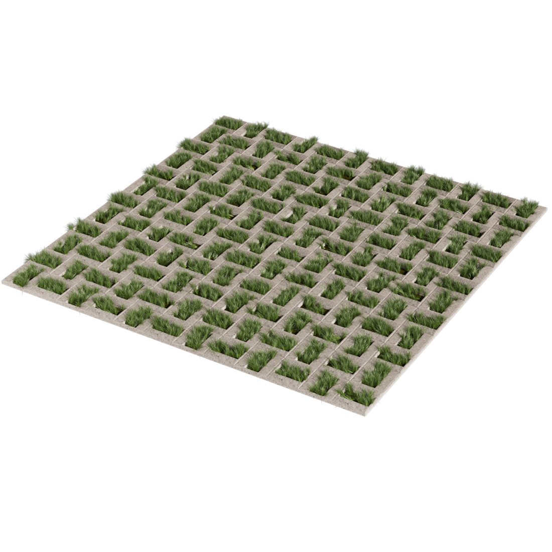 Collection Plant Vol 602 - Grass - Ground -scatter - 3D Model for VRay