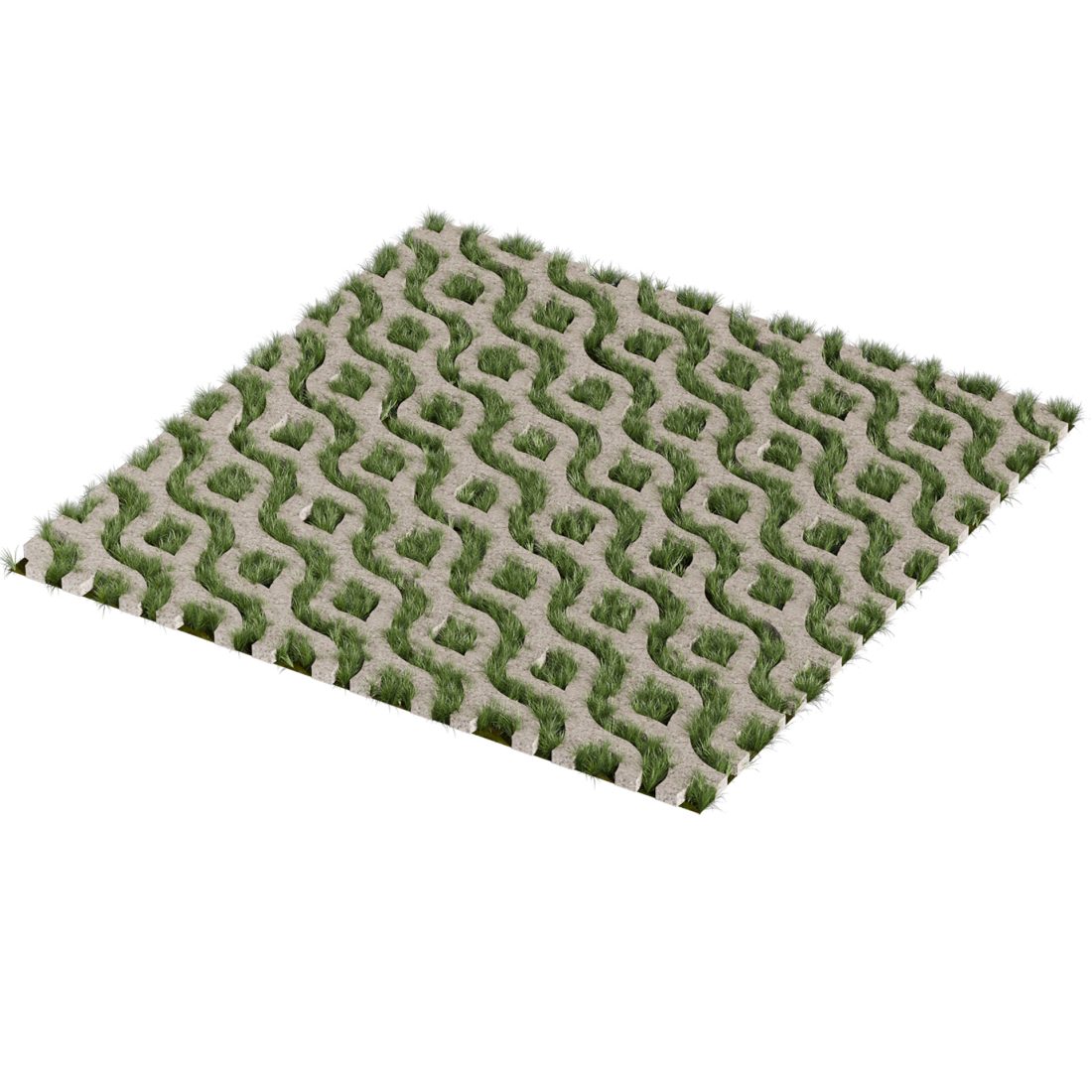 Collection Plant Vol 602 - Grass - Ground -scatter - 3D Model for VRay