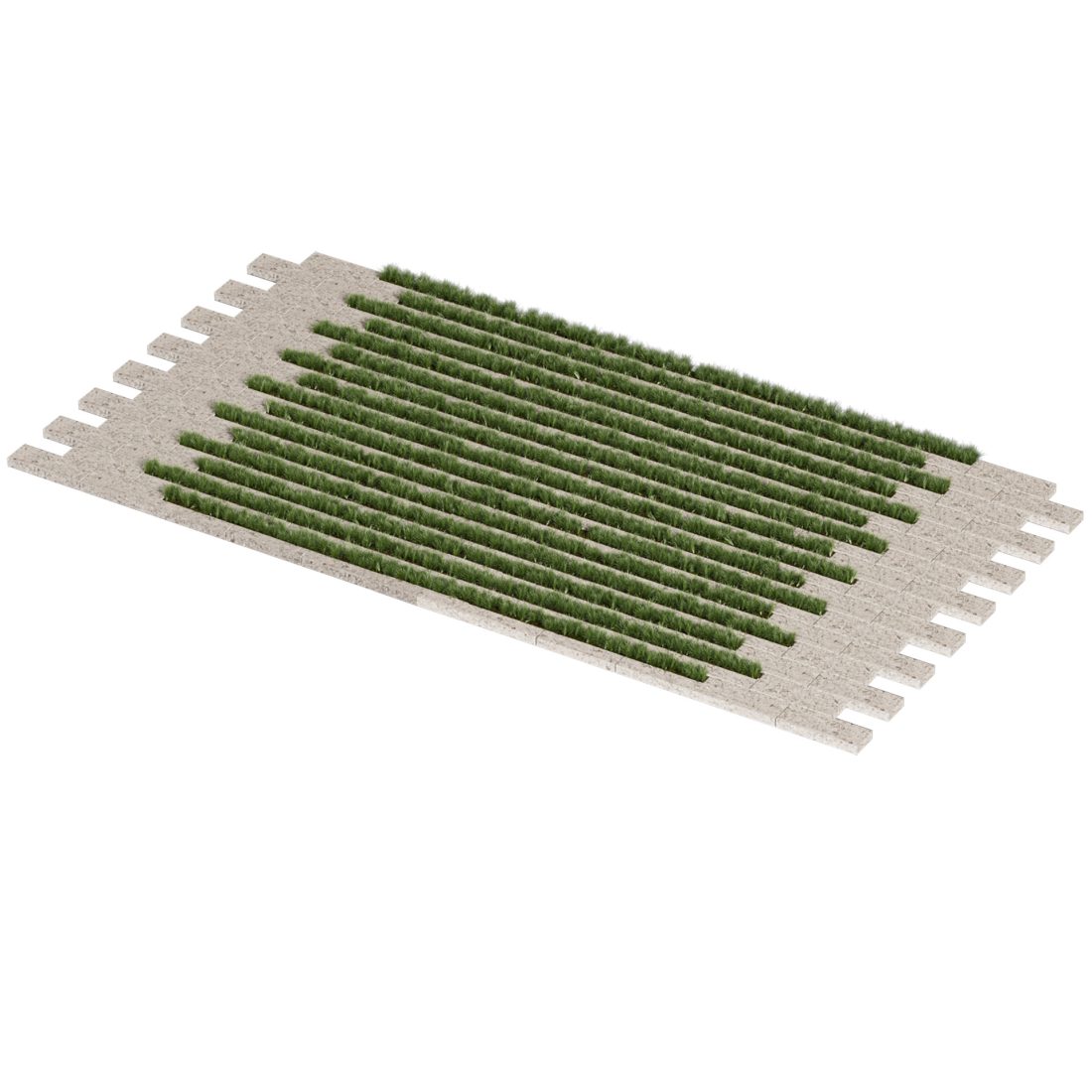 Collection Plant Vol 602 - Grass - Ground -scatter - 3D Model for VRay