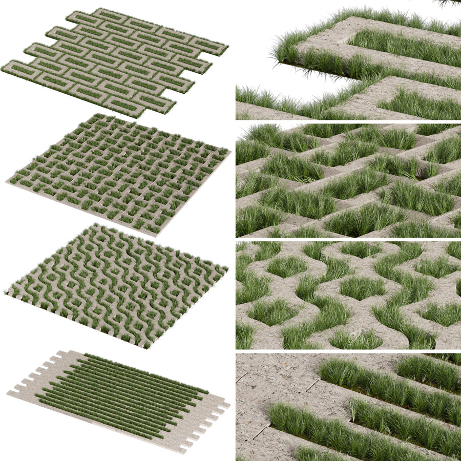 Collection Plant Vol 602 - Grass - Ground -scatter - 3D Model for VRay