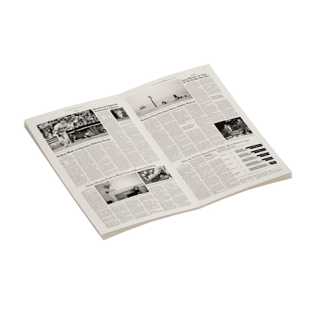 Newspaper Newspapers The New York Times - 3D Model for FStorm, VRay, Corona