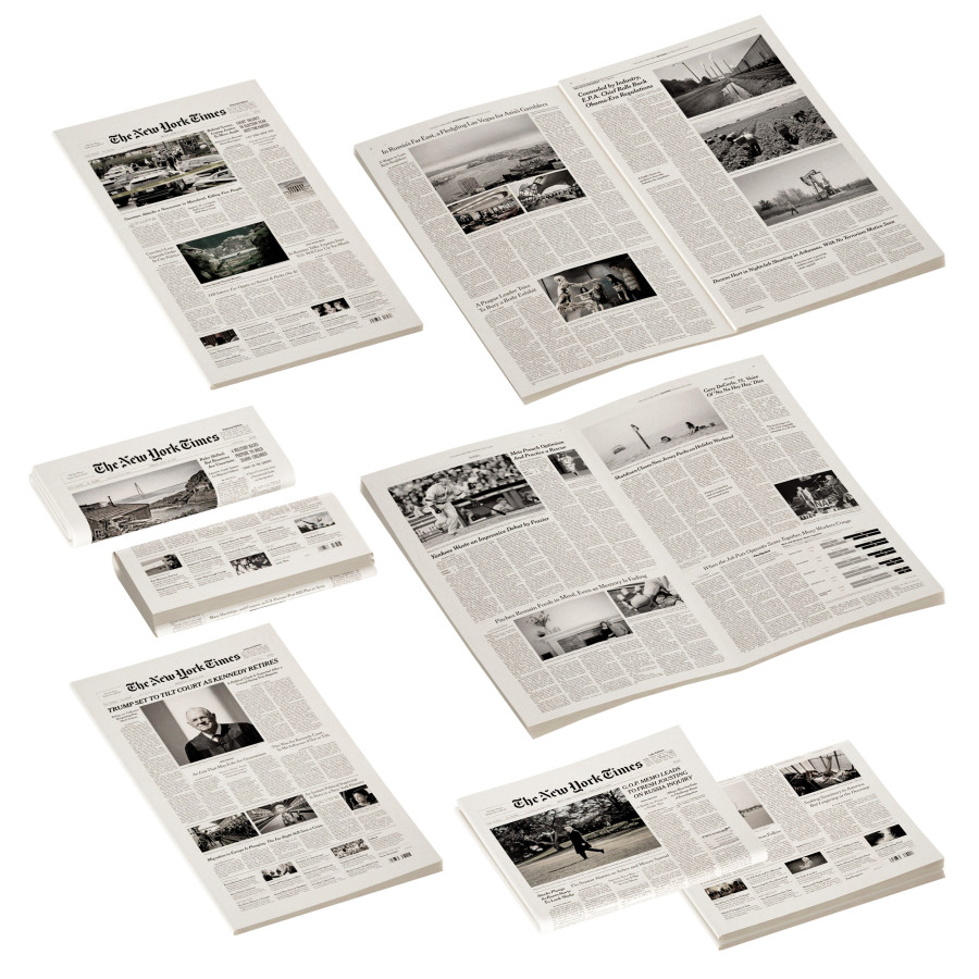 Newspaper Newspapers The New York Times - 3D Model for FStorm, VRay, Corona