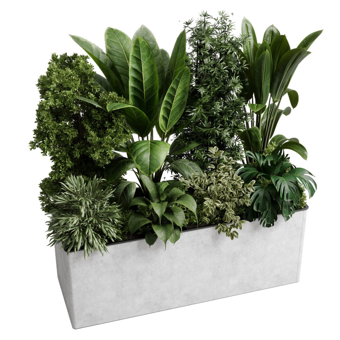 Office Plant - Concrete Box Plants On Stand - Set 3D Model for VRay ...