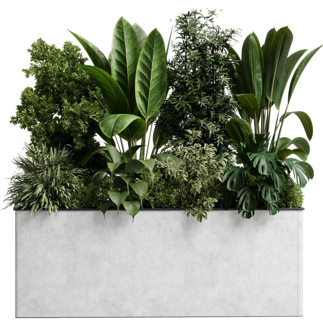 Office Plant - Concrete Box Plants On Stand - Set 3D Model for VRay ...