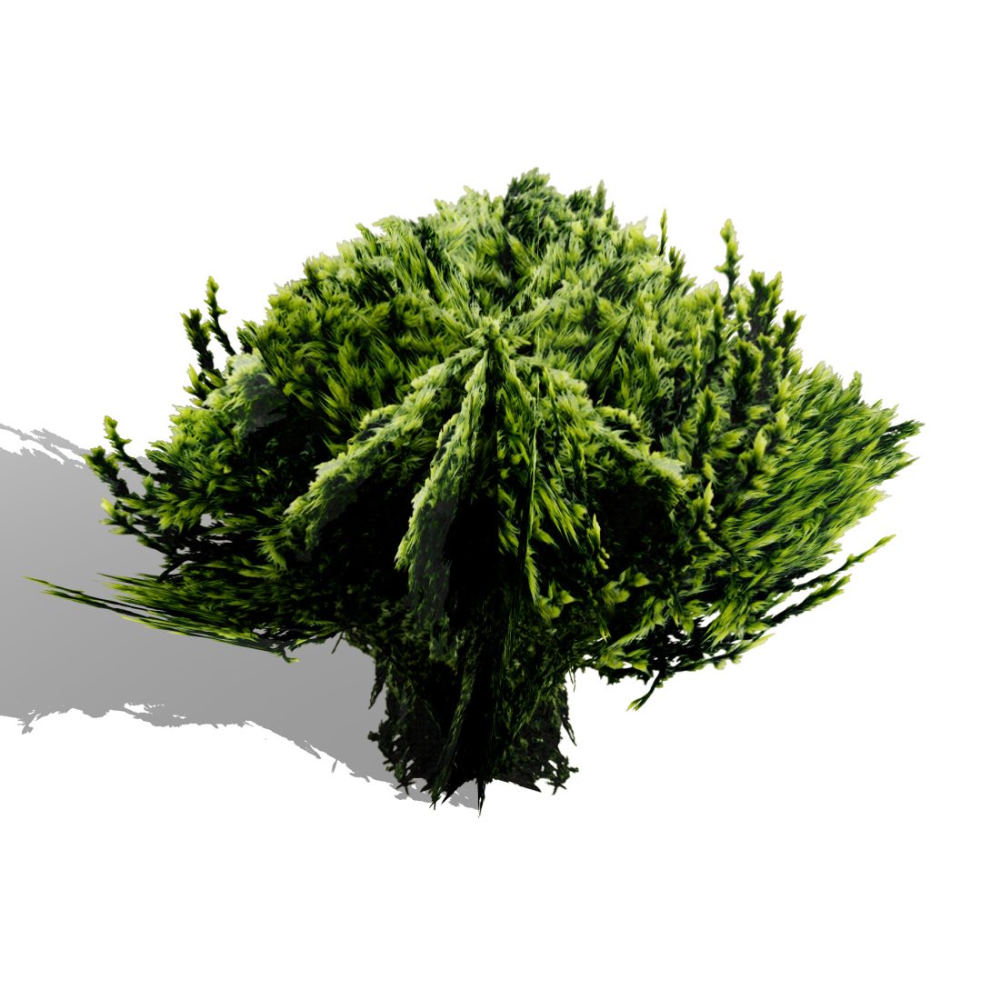 Game-ready Tropical Foliage Pack 3D Model for VRay, Corona | CGMood