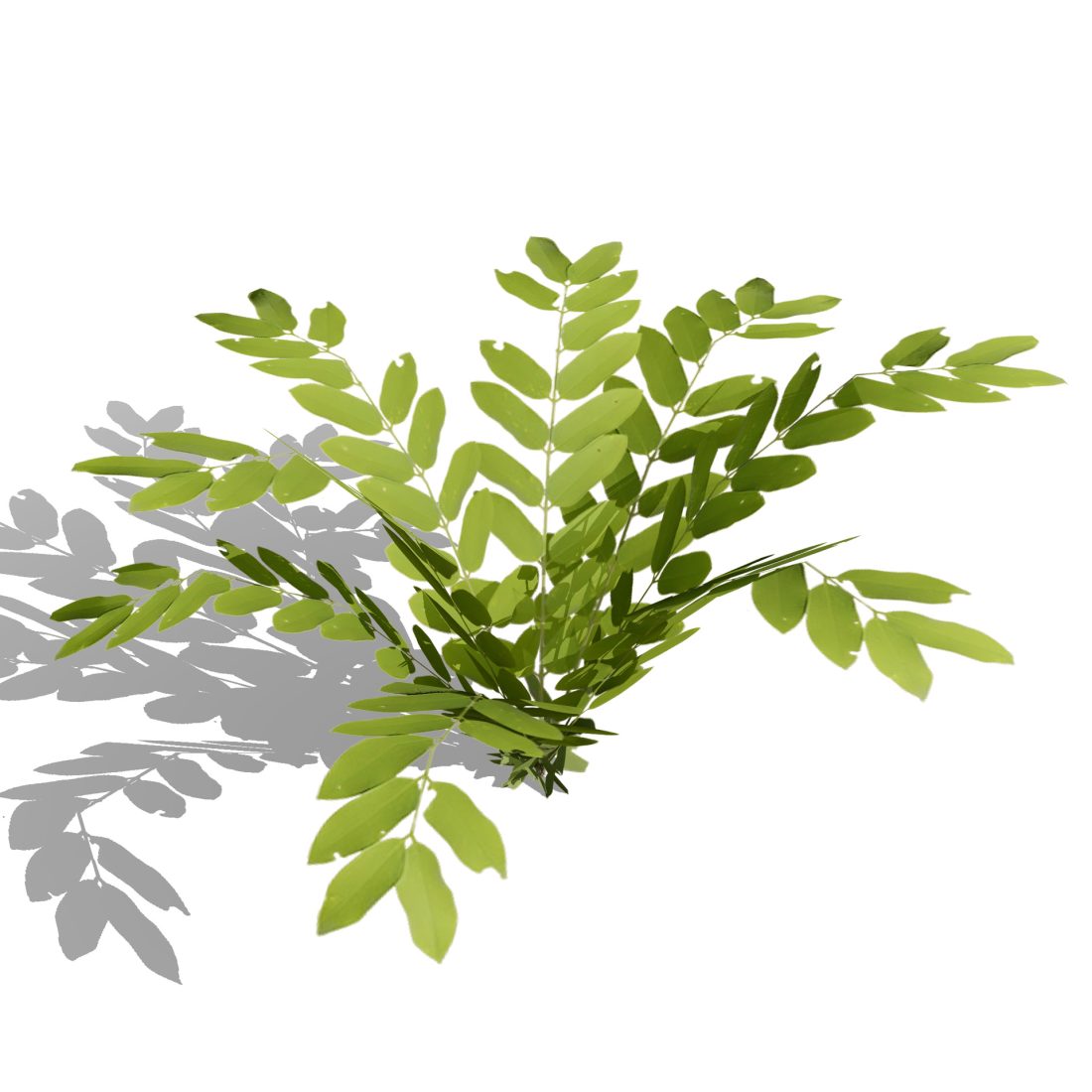 Game-ready Tropical Plants & Foliage Collection - 3D Model for VRay, Corona