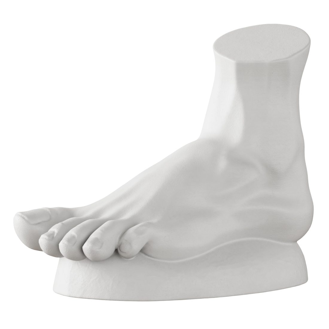 Plaster Foot - 3D Model for VRay