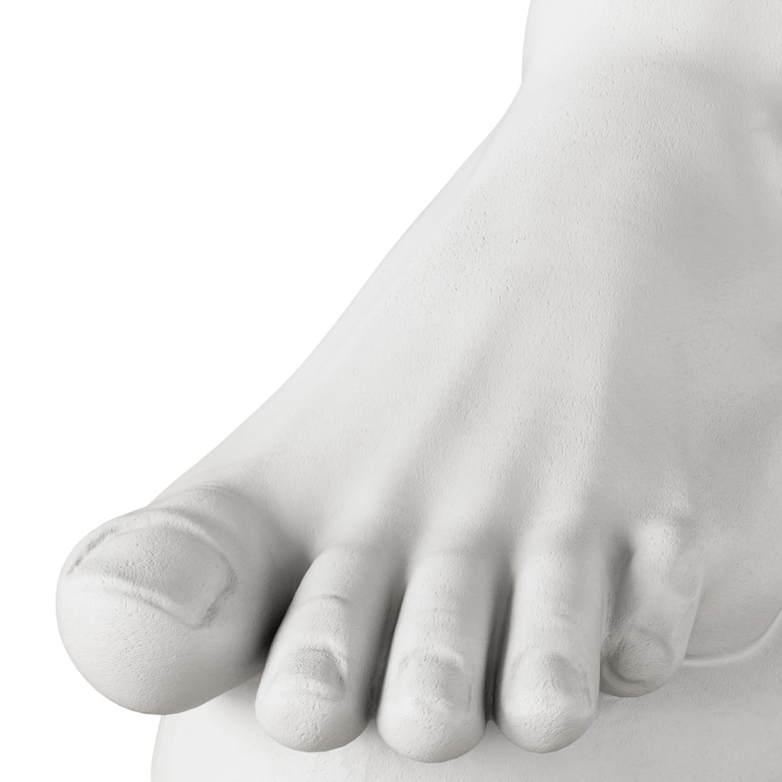 Plaster Foot - 3D Model for VRay