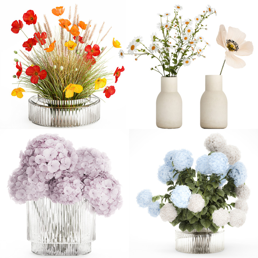 Set Bouquets Hydrangea Poppy Hydrangea Chamomile - 3D Model for VRay