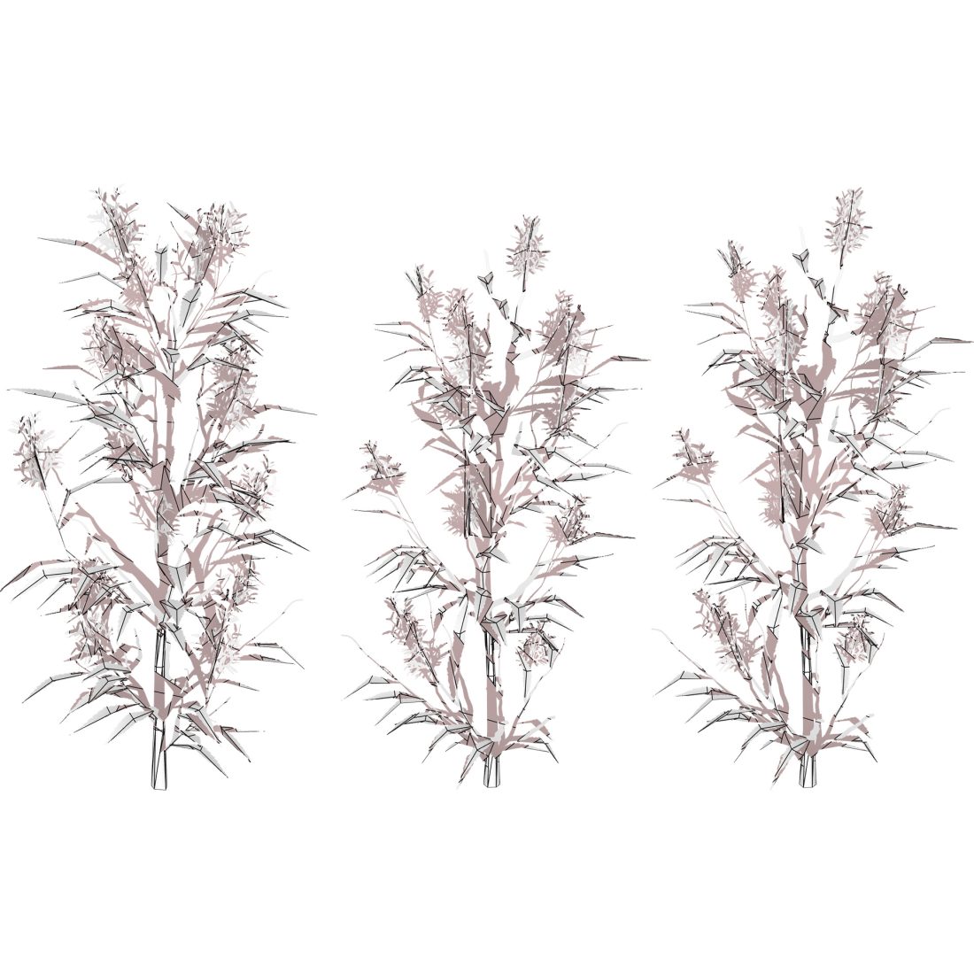 British Hemp-agrimony 3d Model Pack 3D Model for VRay, Corona | CGMood