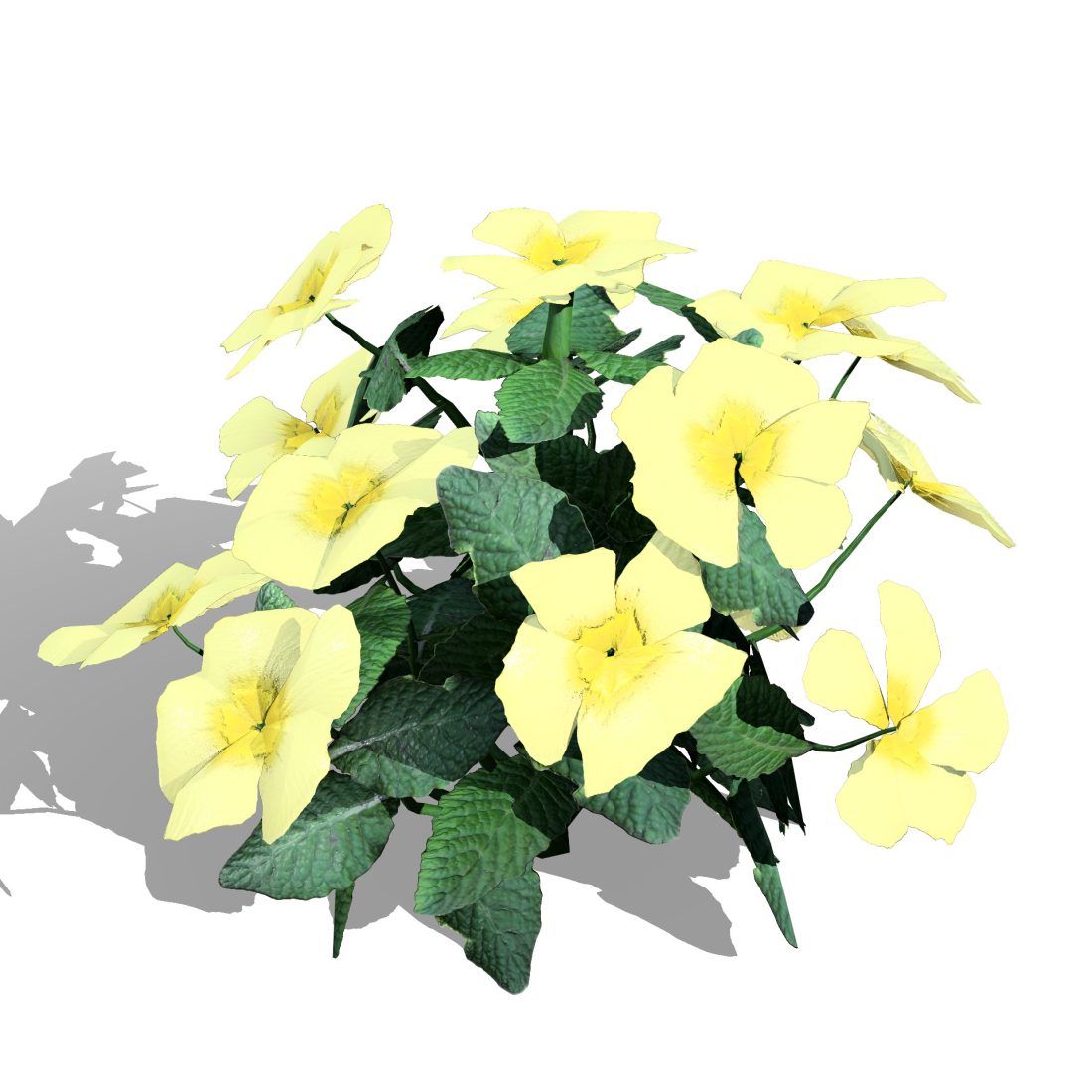 Primula Vulgaris 3d Model Collection - 3D Model for VRay, Corona