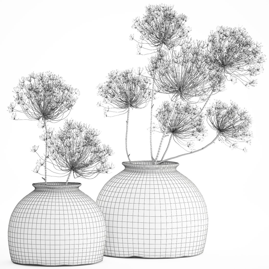 Realistic Bouquet Dried Flowers Hogweed Branches - 3D Model for VRay