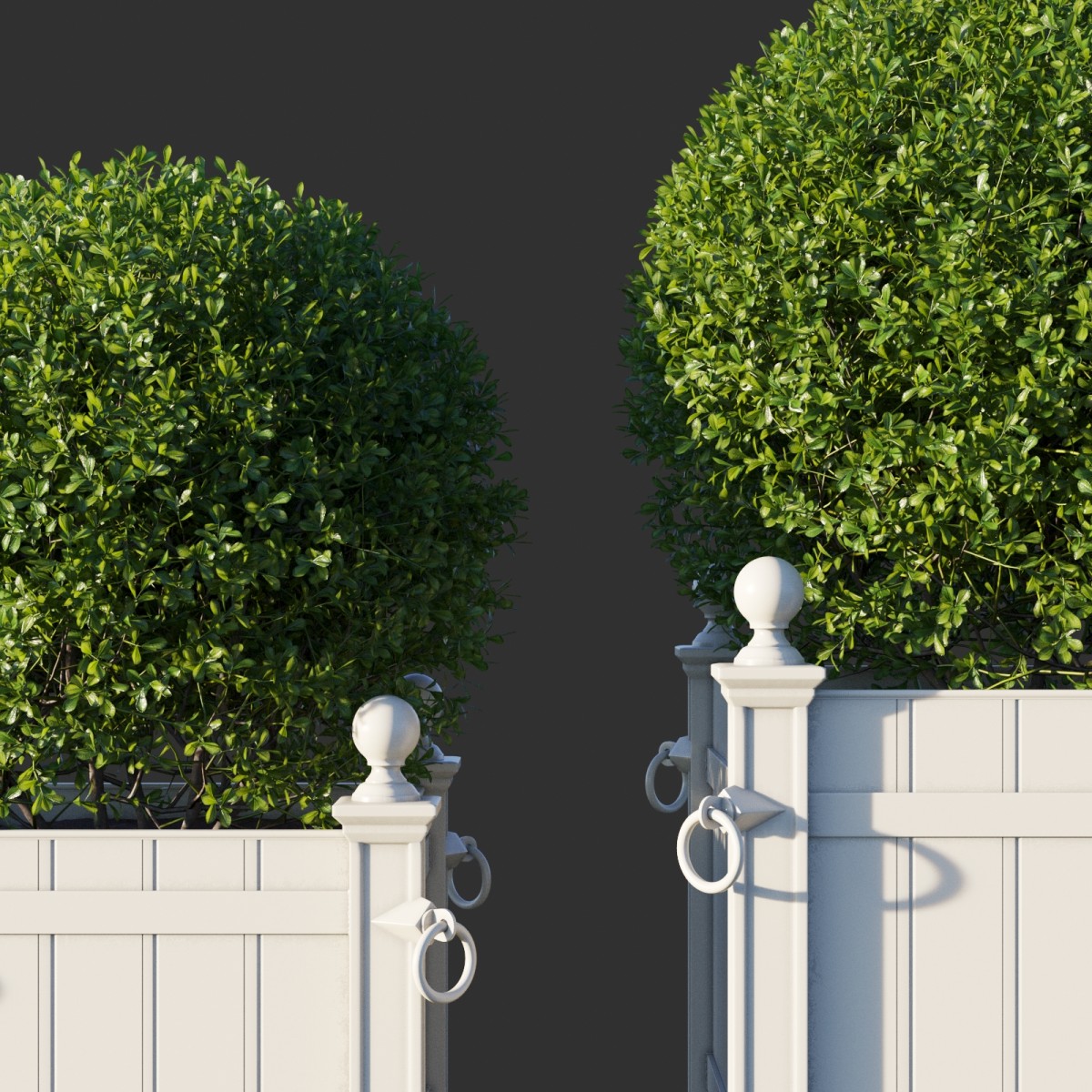 Boxwood In Rh Versailles Panel Planters 3D Model for Corona | CGMood