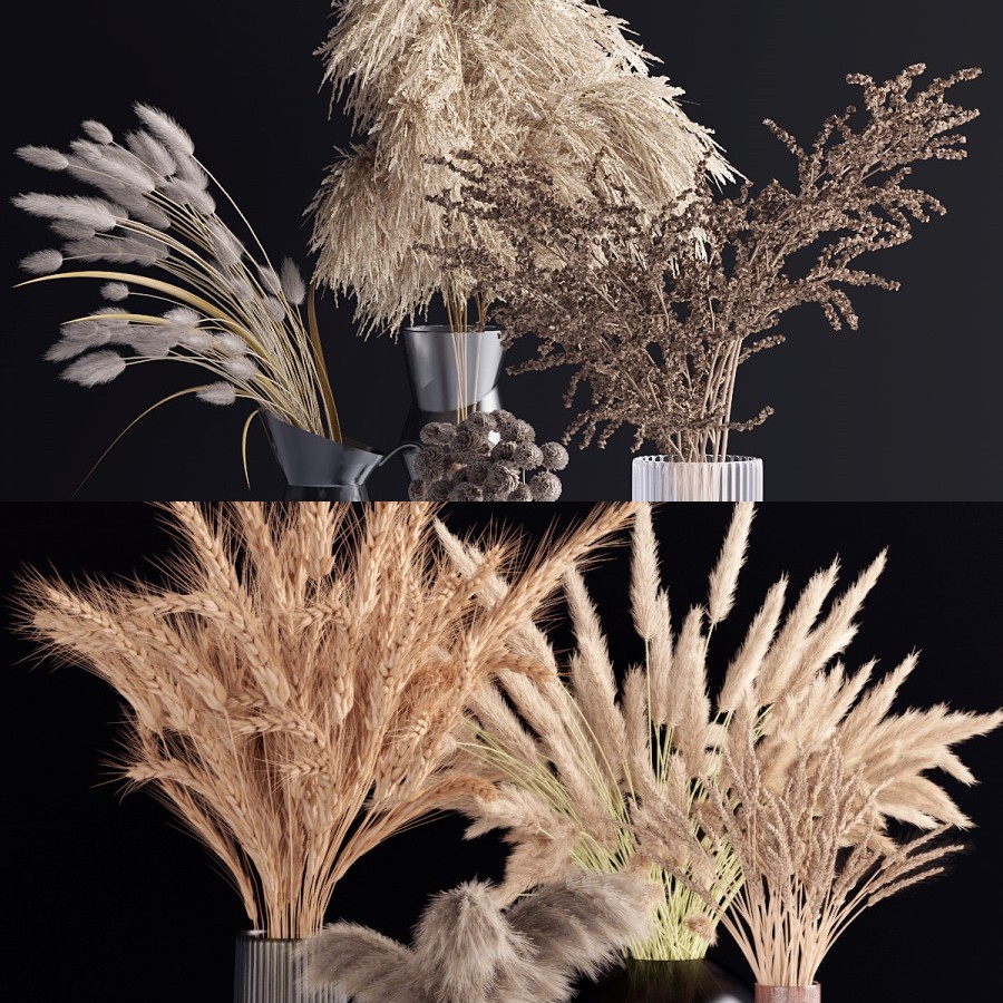 Dry Flower Collection 18 - 3D Model for VRay, Corona