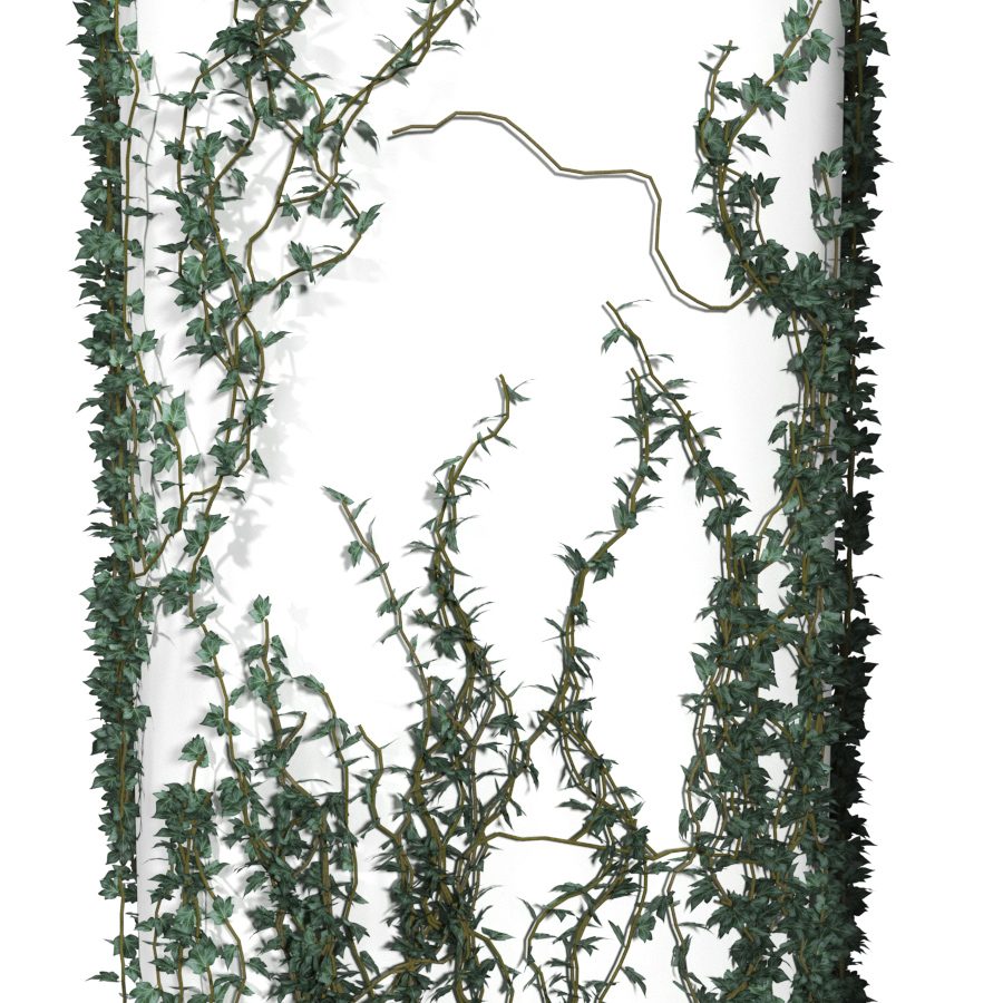 Ivy Winding On A Pillar - 3D Model for VRay