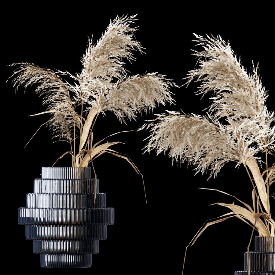 Dry Flower Collection 14 - 3D Model for VRay, Corona