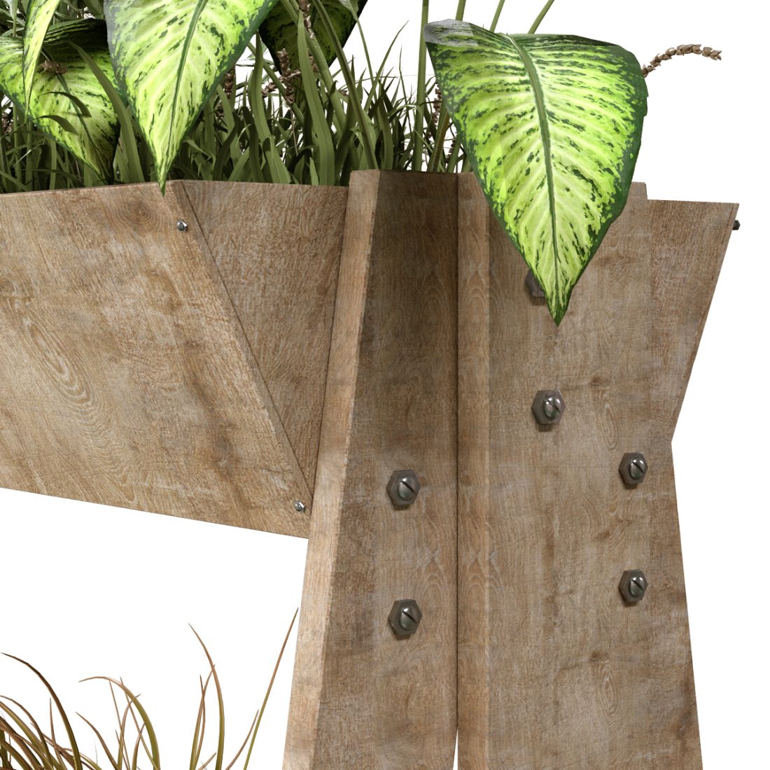 Plant In Box 164 - 3D Model for VRay, Corona