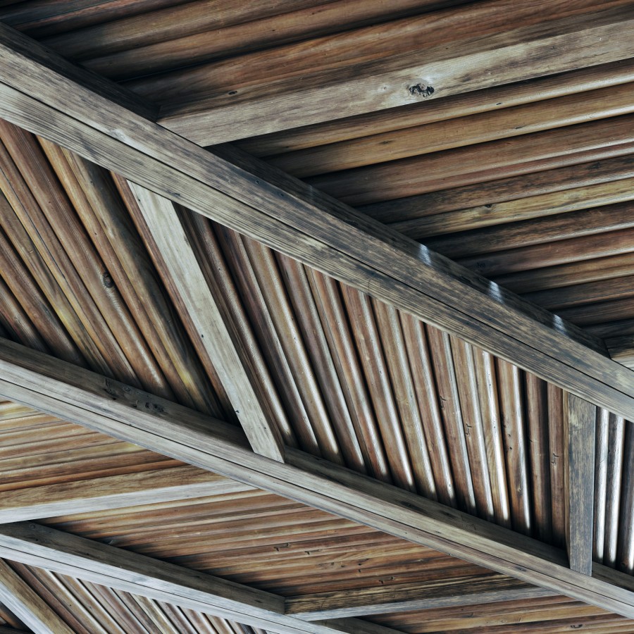 Ceiling Diagonal Branch Straight N2 - 3D Model for VRay, Corona