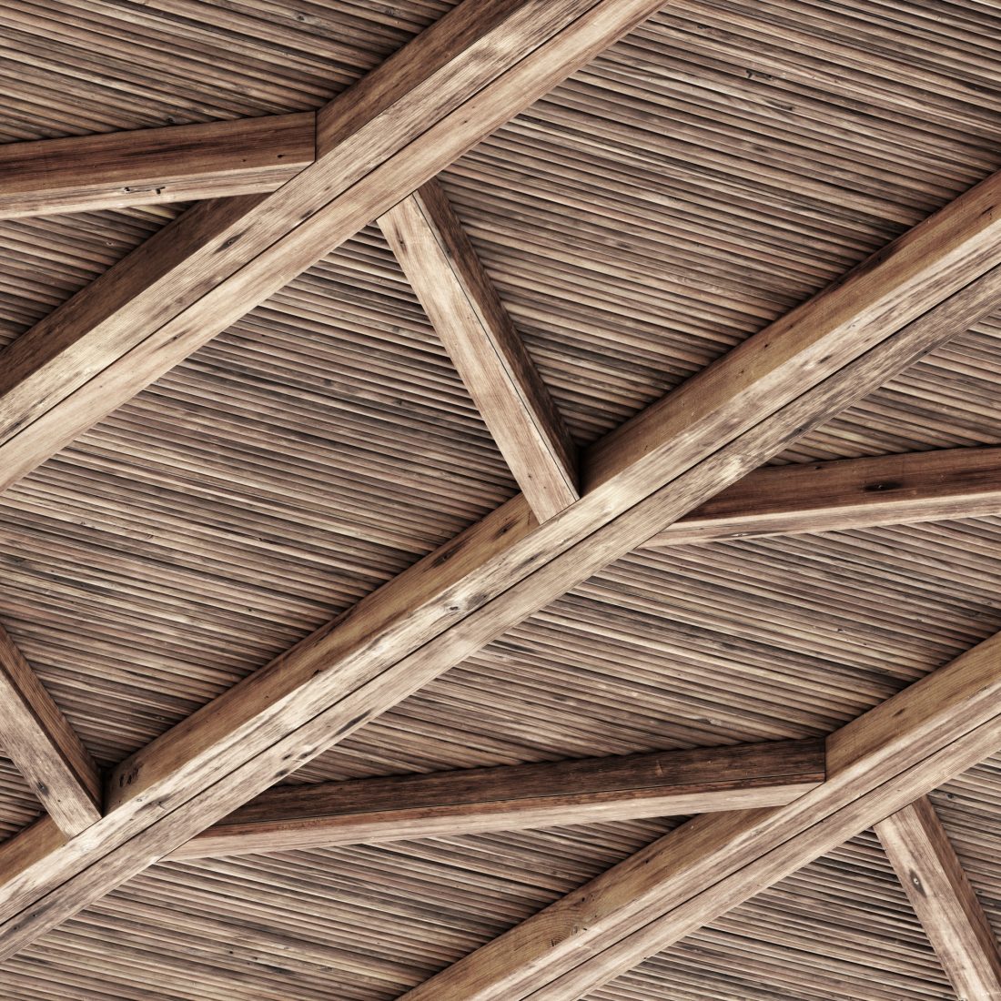 Ceiling Diagonal Branch Straight N1 - 3D Model for VRay, Corona