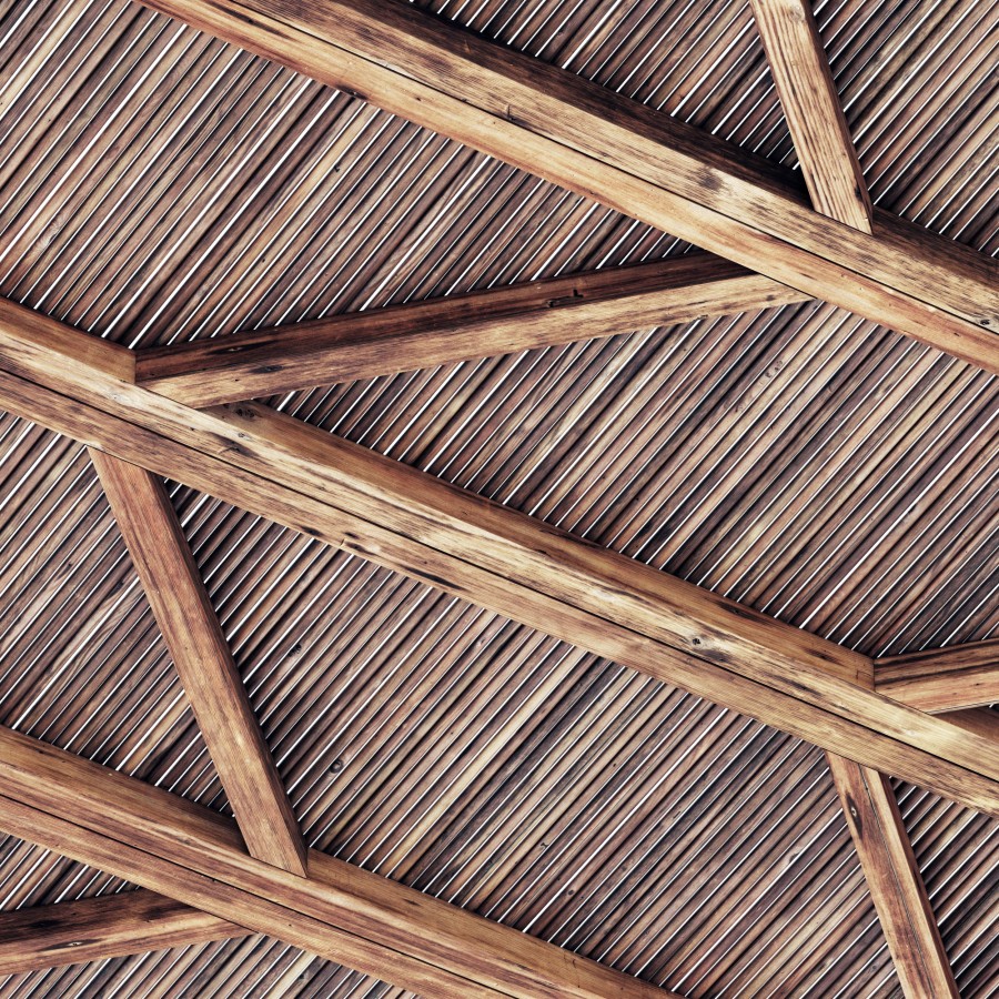 Ceiling Diagonal Branch Straight N1 - 3D Model for VRay, Corona