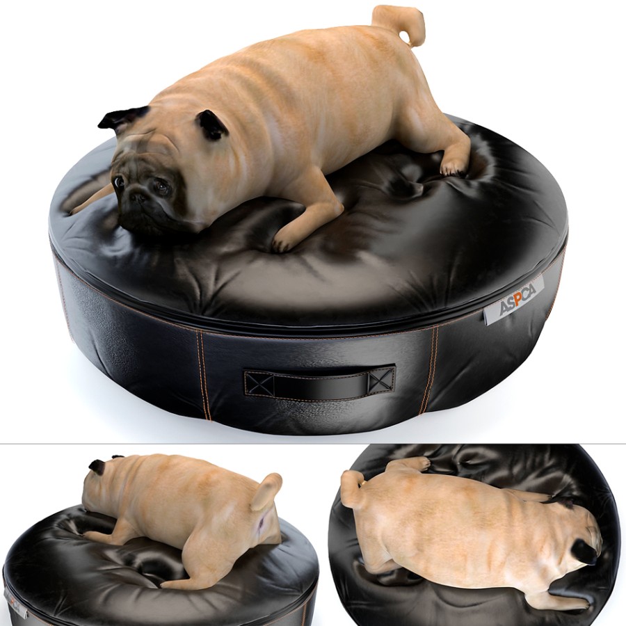 Fat Dog - 3D Model for VRay, Corona