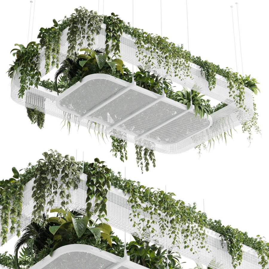 Hanging Plants Indoor Plant 323 - 3D Model for VRay, Corona