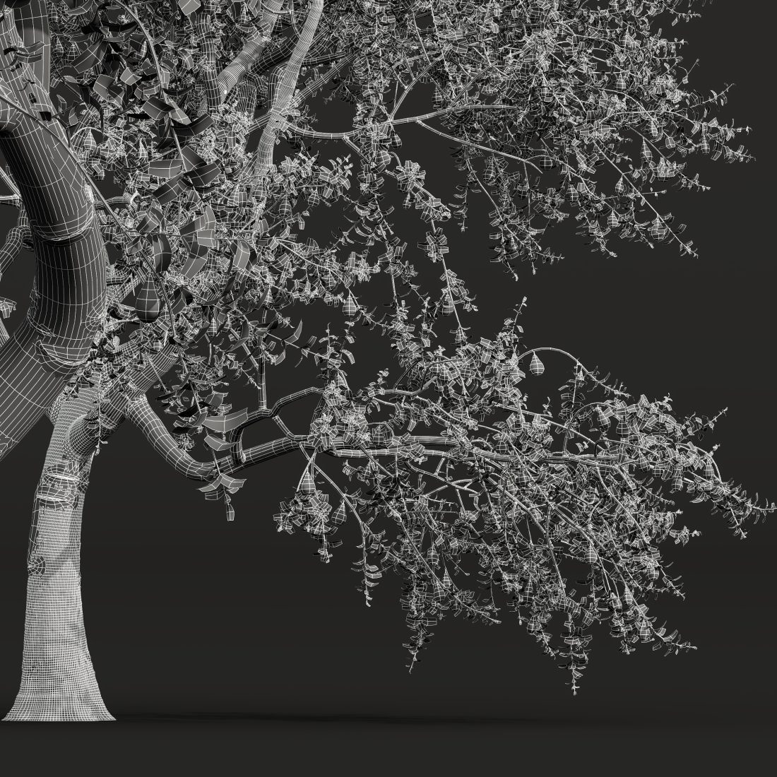 Mangifera Indica Mango Pear Pyrus Communis Green 3D Model for VRay ...