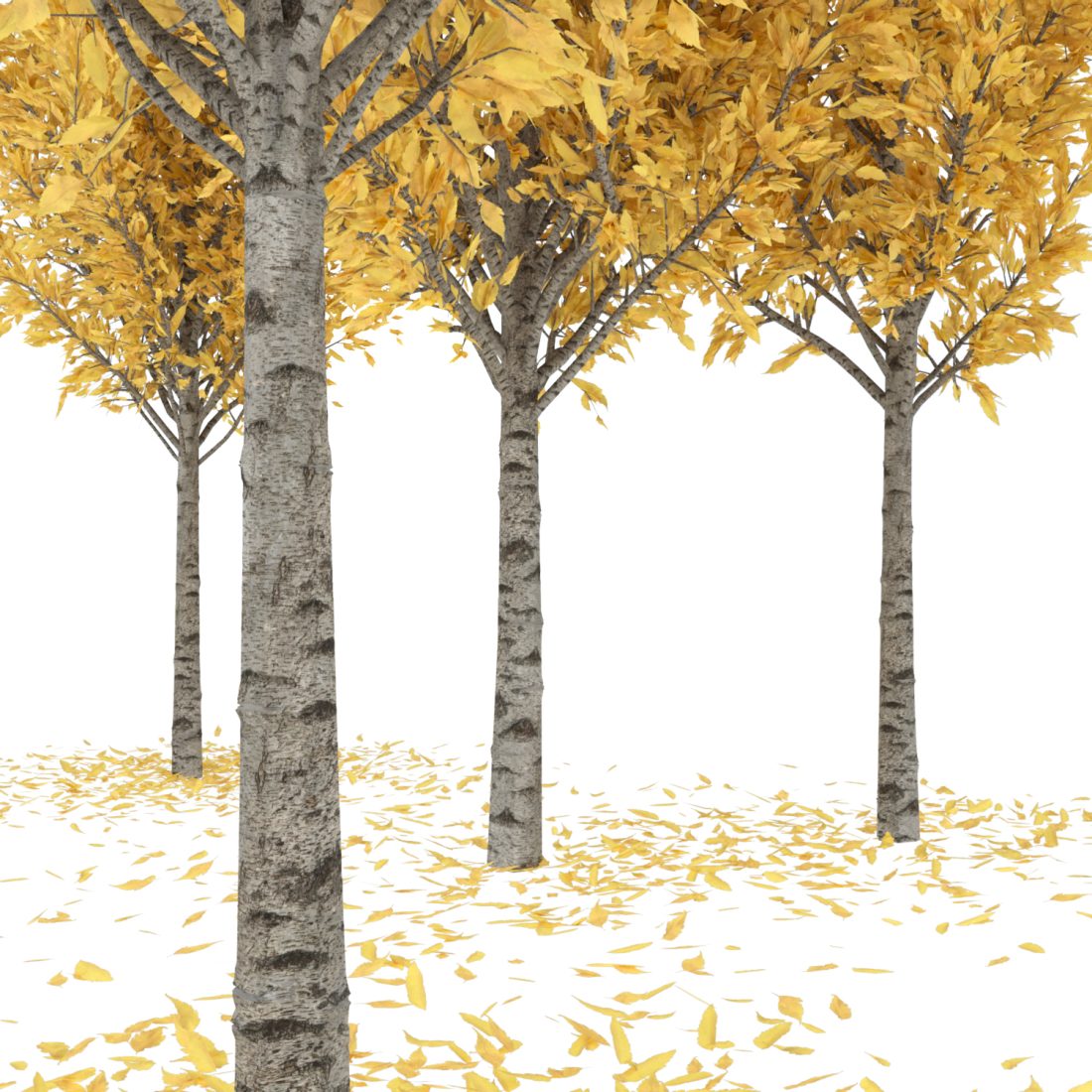 Collection Autumn Pine Trees 15 - 3D Model for Corona