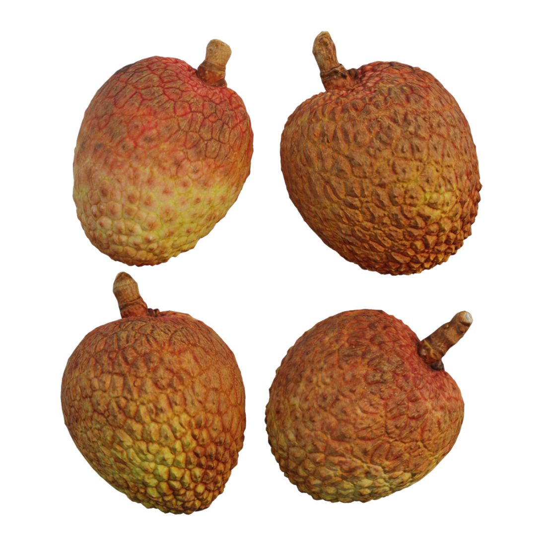 Modle Of A Lychee