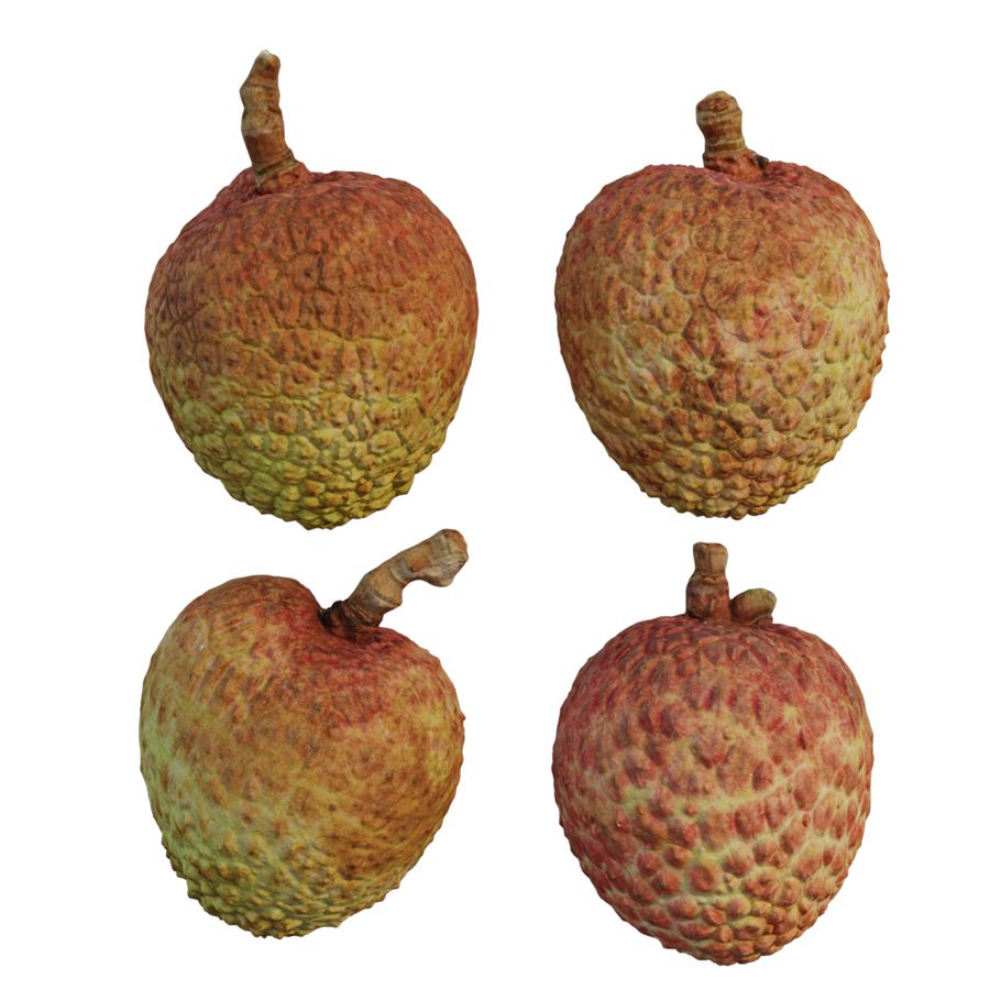 Litchi Fruit 03 - 3D Model for VRay, Corona