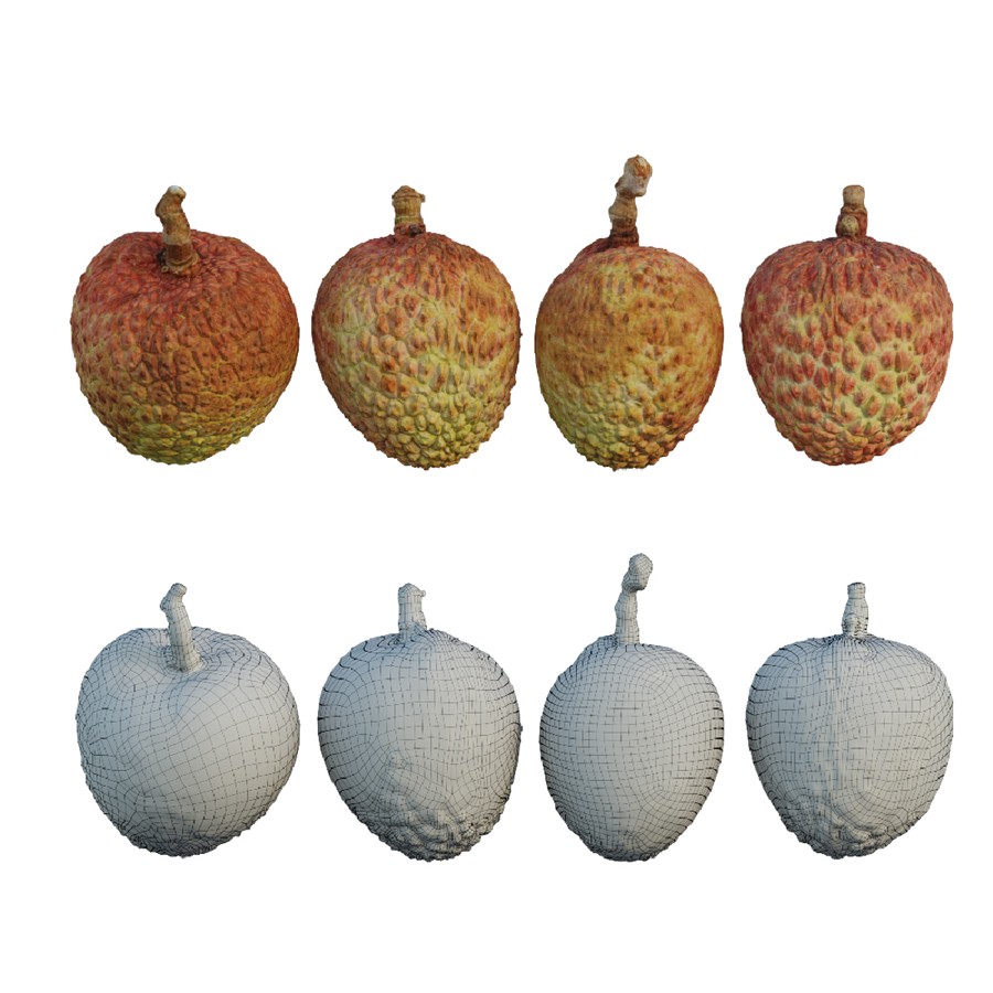 Litchi Fruit 03 - 3D Model for VRay, Corona