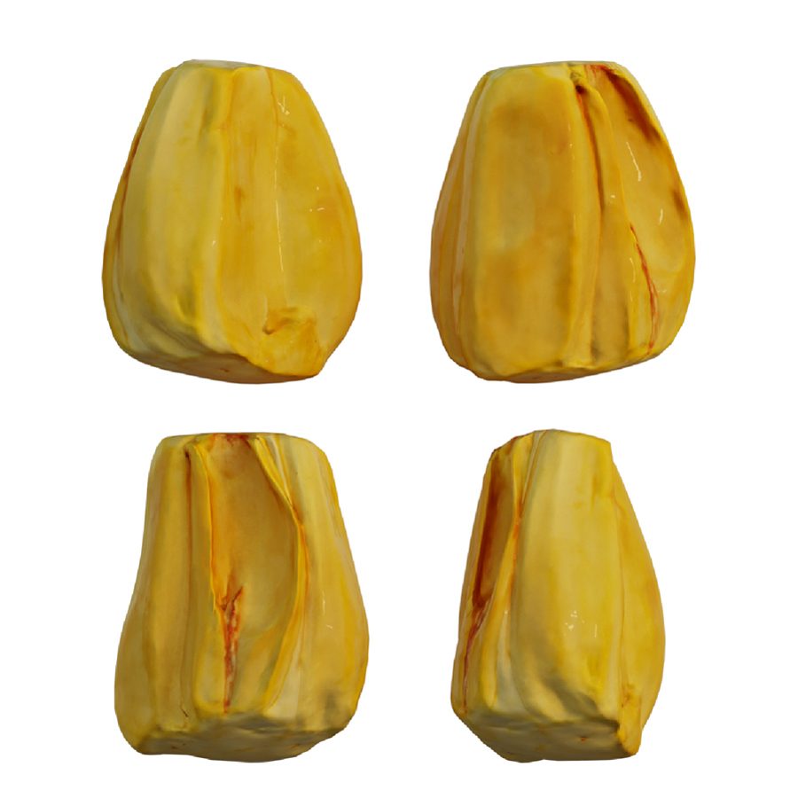 Jackfruit 3D Model for VRay, Corona | CGMood