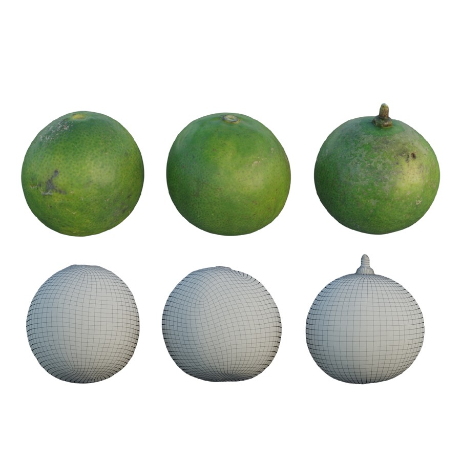 Lime 03 - 3D Model for VRay, Corona