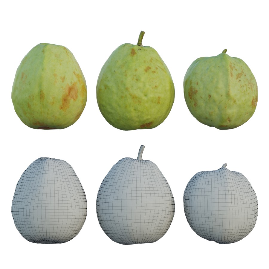 Guava 02 - 3D Model for VRay, Corona