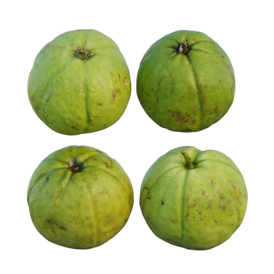 Guava 03 3D Model for VRay, Corona | CGMood