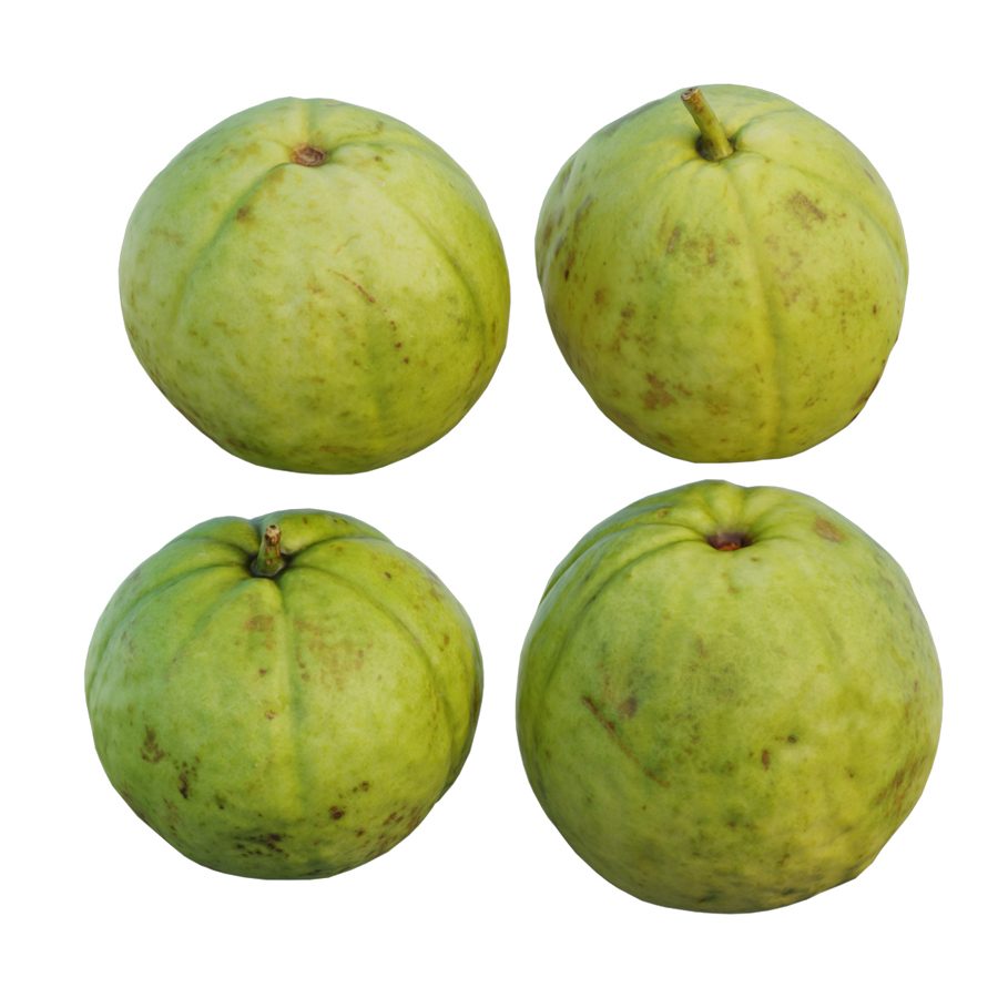 Guava 04 - 3D Model for VRay, Corona