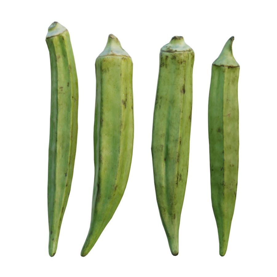 Fresh Okra 02 3D Model for VRay, Corona | CGMood