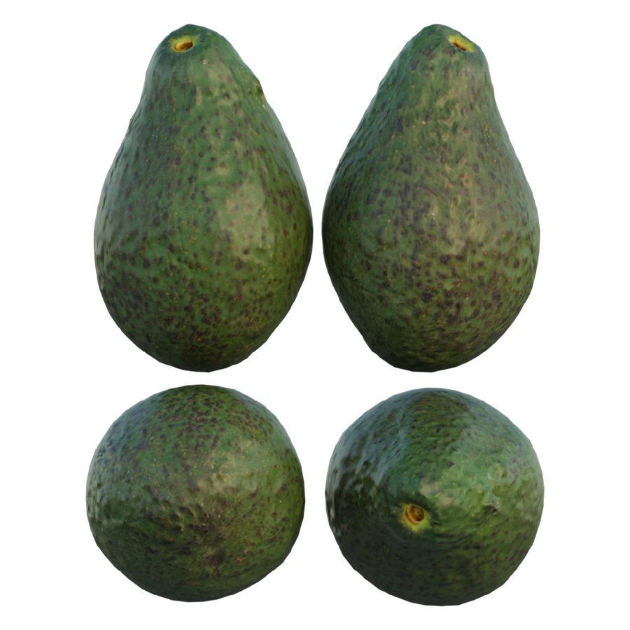 Pinkerton Avocado 3D Model for VRay, Corona | CGMood