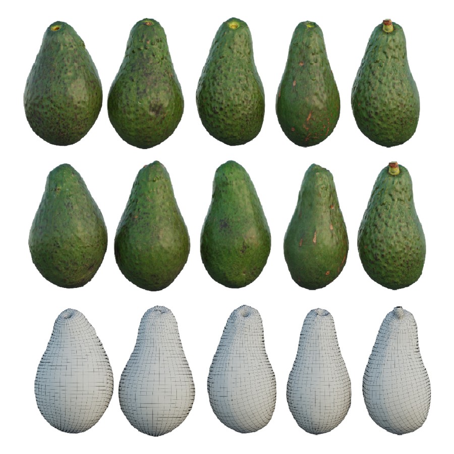 Pinkerton Avocado 3D Model for VRay, Corona | CGMood