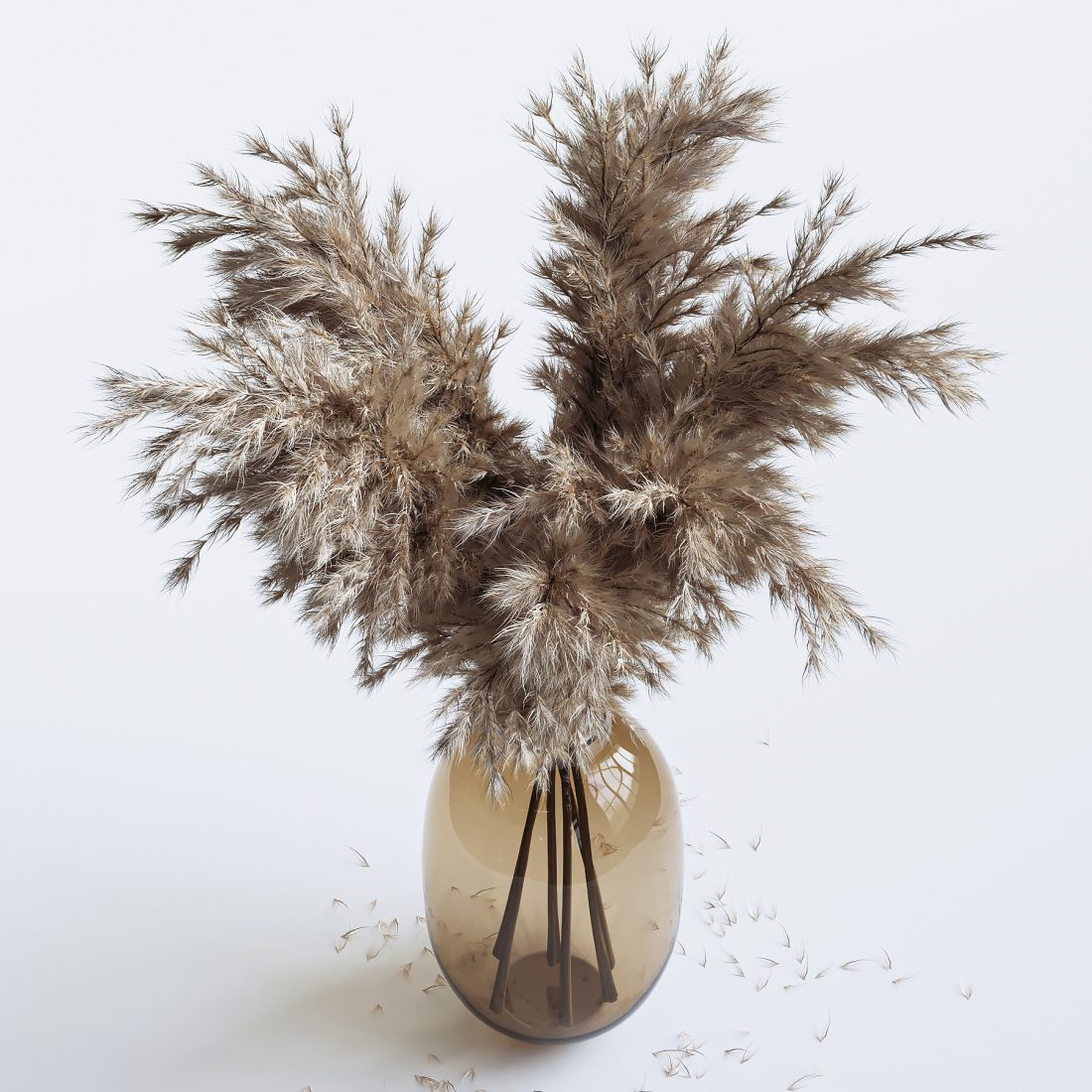 Pampas Flowers - 3D Model for Corona